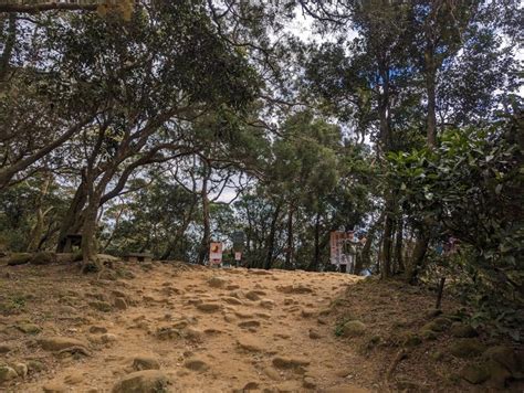 百大必訪步道搭大眾交通工具走飛鳳山觀日坪古道 健行筆記
