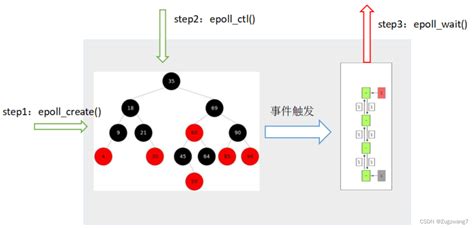 Epoll并发编程及聊天室实现tcp 和epoll编程 Csdn博客