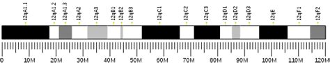 HBP Wikipedia