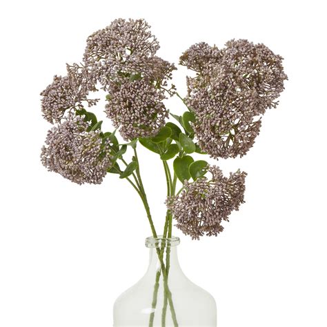Purple Sedum Spray Roost Home And Lifestyle