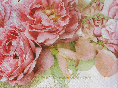 Pink Cabbage Roses Mary Decoupage Paper Napkins Decoupage Paper