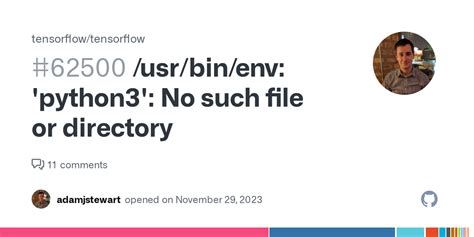 usr bin env python3 no such file or directory · issue 62500