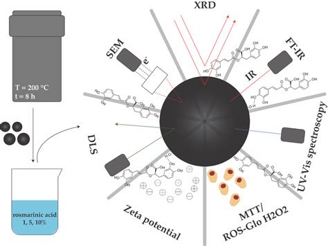 Schematic Representation Of The Experimental Design Involving The Download Scientific Diagram