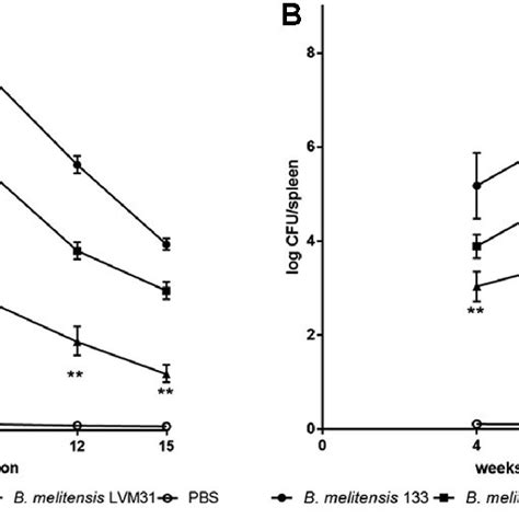 Complement Fixation Test In Brucella Diagnostic Negative 100