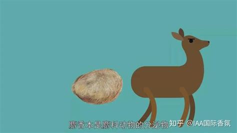 科普别再相信甄嬛传了科学家早已辟谣含麝香的香水没有问题 知乎