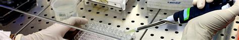 Biofilm Ring Test Pack Biofilm Control Laboratoire Mapiem Ur 4323