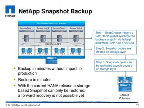 joint netapp and cisco solutions for sap flexpod and hana