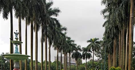 শীতের গতিতে বাধা বৃষ্টির কারণে দুর্দান্ত ইনিংস কি ডিসেম্বরের আগেই শেষ