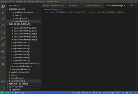 Guia Do Dev Iniciante Vs Code