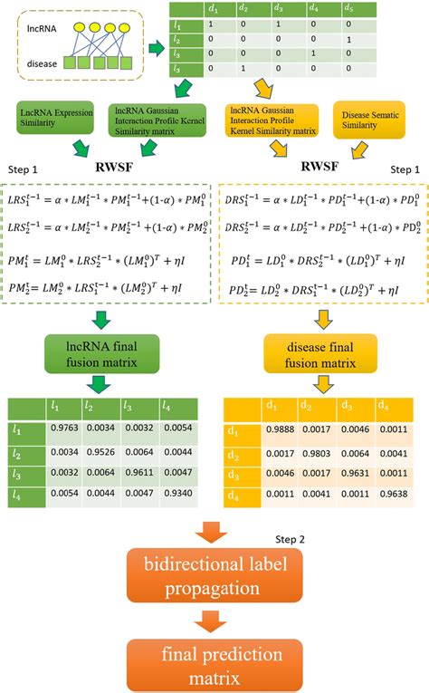 A Flowchart Showing The Whole Modelling Procedure Download Scientific