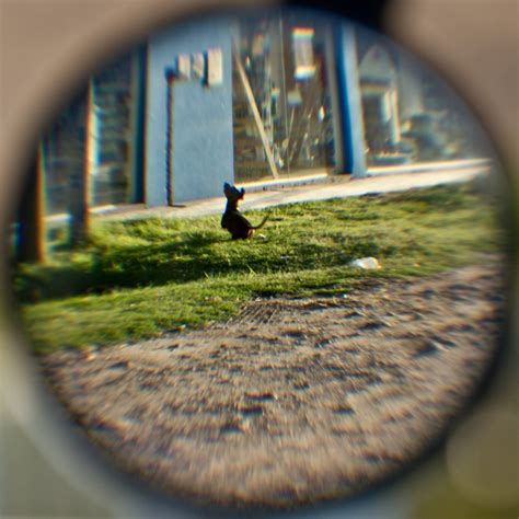 Chromatic Aberration Filter Suggestion Shotcut Forum