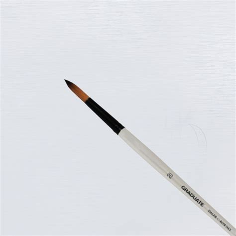 Daler Rowney Graduate Long Handle Brushes Synthetic Hairs