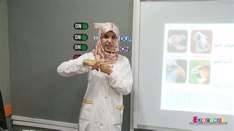1 Aep النشاط العلمي كيف أميز بين الحيوانات Majuscule School Academy