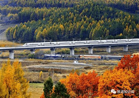 常用铁路专业常用词汇中英文对照（简称） System 系统 Train