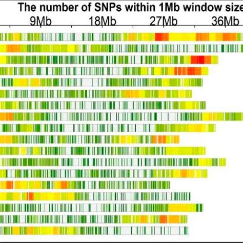 Distribution Of Snp Markers Across The 18 Chromosomes The Graph
