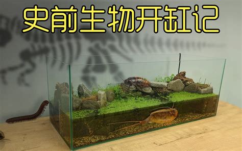 沉浸式打造史前生态缸，和恐龙生活过的远古生物，太好玩太有趣了 Lewisliu77 默认收藏夹 哔哩哔哩视频