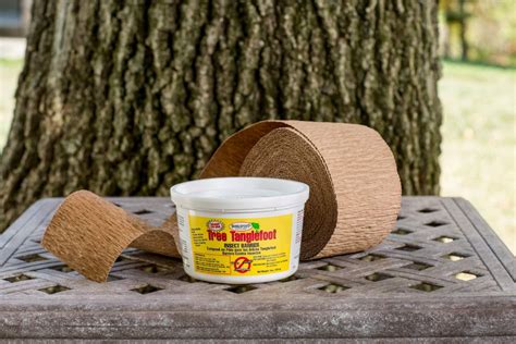 Tanglefoot Tree Care Kit With Tree Insect Barrier And Tangle Guard Wrap