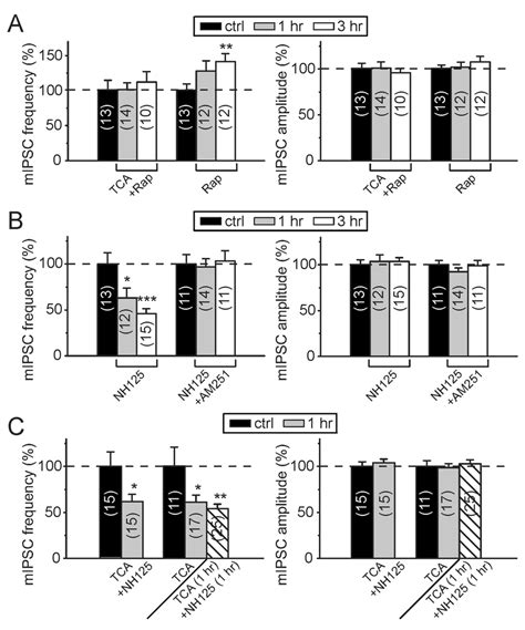 The Eef2 Dependent Protein Synthesis Is Essential For Cb1r Dependent