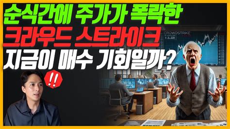 순식간에 기다리던 가격 까지 폭락한 크라우드스트라이크 지금이 매수 기회일까 조금 더 기다려야 할까 Youtube