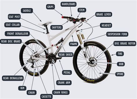 Bike Components Diagram 39 Trek Bike Parts Diagram