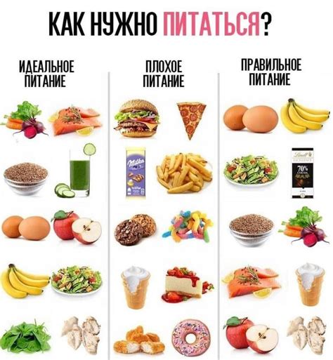 Готовая Еда Для Похудения Правильное Healthy Food Dishes Nutrition