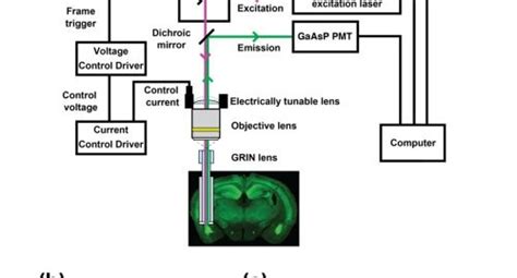 Fast Varifocal Two Photon Microendoscope For Imaging Neuronal Activity