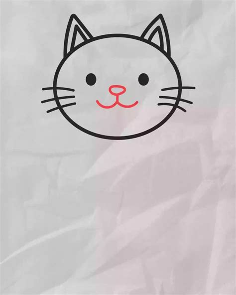 How To Draw A Anime Cat Step By Step