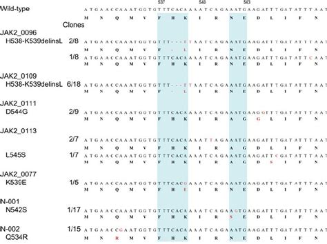 Somatic Mutations Of Jak2 Exon 12 In Patients With Erythrocytosis Dna