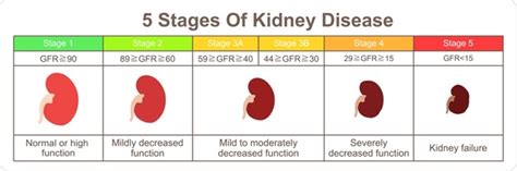 Chronic Kidney Disease CKD