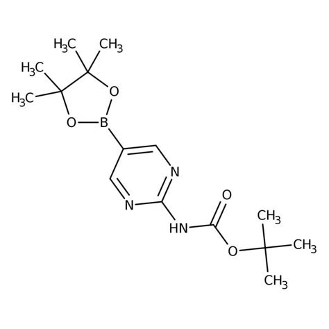 2 Tert Butoxycarbonylaminopyrimidine 5 Boronic Acid 97 Thermo