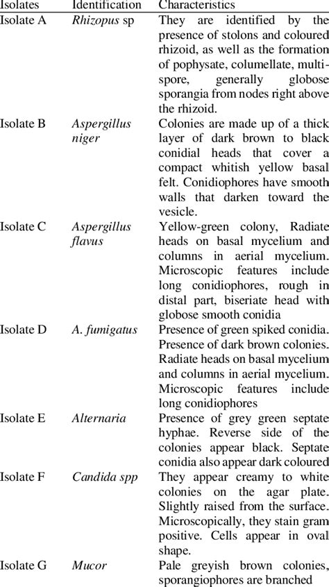 Identification Of The Isolated Fungi Download Scientific Diagram
