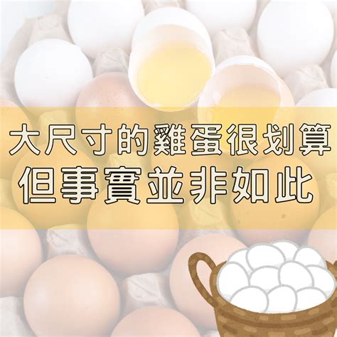 蛋寶生技 ｜蛋寶小教室｜越大顆越划算 買雞蛋時，很多人都喜歡挑大顆的蛋 覺得營養價值可能比較高
