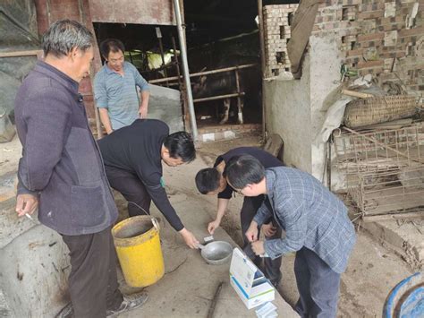 蔡家镇：春季动物疫病防护进行时 － －江津网