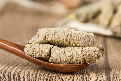 Ba Ji Tian Radix Morindae Officinalis Bai Ji Tian For Sale Native Chinese