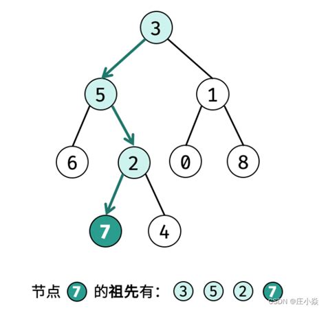 剑指 Offer 68 二叉树的最近公共祖先二叉树的最近公共祖先 左神 Csdn博客