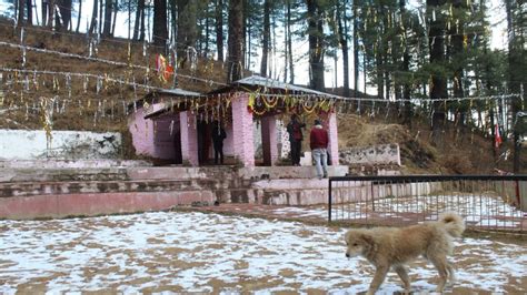 Photos जोशीमठ में आसमान से बरसी आफत जगह जगह हुई बर्फबारी बिगड़े