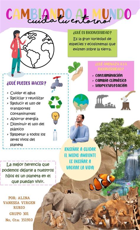 ¡cuida Tu Entorno Proyectos De Ciencia De La Escuela La