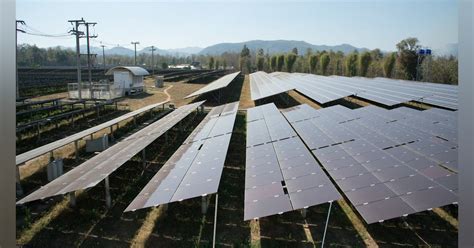 Microgrids Utility Friend Or Foe Tandd World