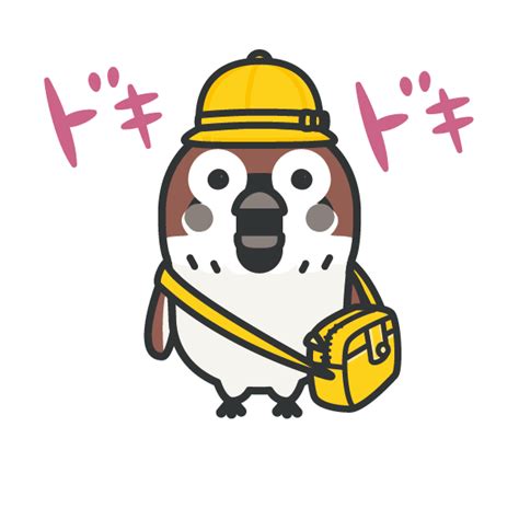 20240242 ちゅん15 でこるで