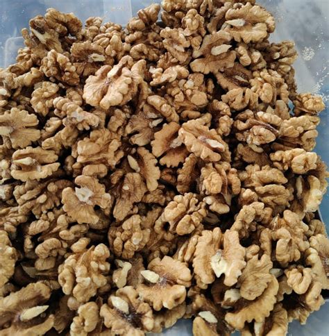 Top Quality Extra Light China Yunnan Xinjiang 185 Xin2 Walnut Kernels