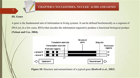 Genetic Polymorphism Ppt