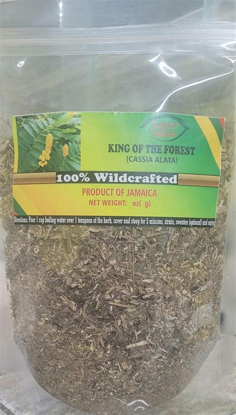 King Of The Forest Cassia Alata Wildcrafted Etsy