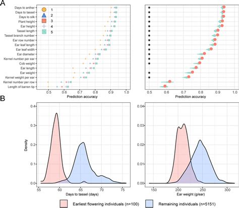 Genomic Prediction Of Agronomic Traits In A Maize Ncii Population A Download Scientific
