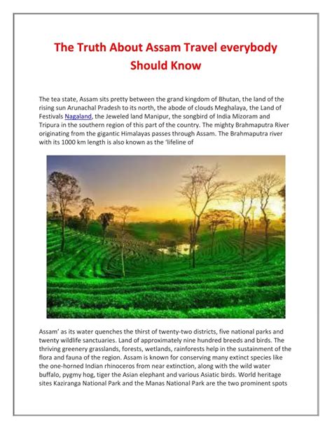 Ppt The Truth About Assam Travel Everybody Should Kno12 Powerpoint