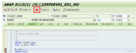 Sap Debug调试方法 Csdn博客
