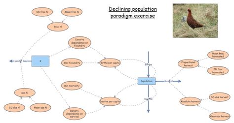 Clone Of Declining Population Paradigm Insight Maker