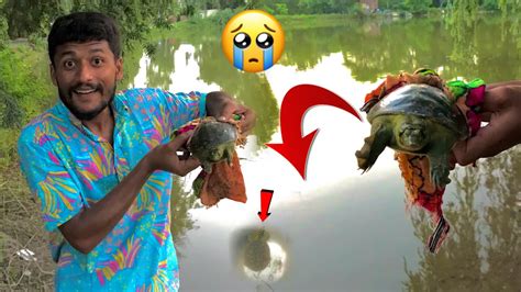 Tortoise Ko Azaad Ker Dia🥰 Youtube