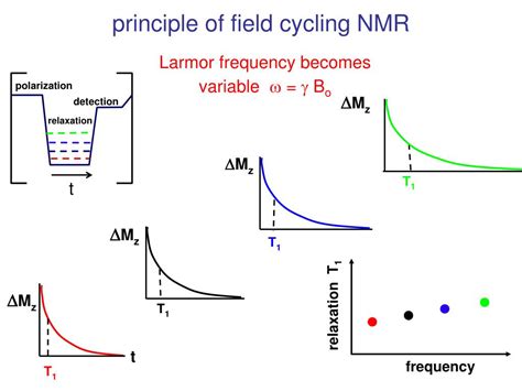 Ppt Polymer Dynamics And Field Cycling Nmr Powerpoint Presentation Id