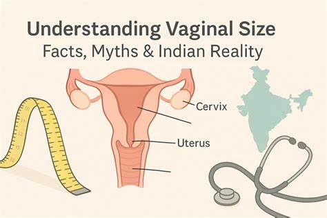 Understanding Vagina Size Length Breadth And The Indian Perspective