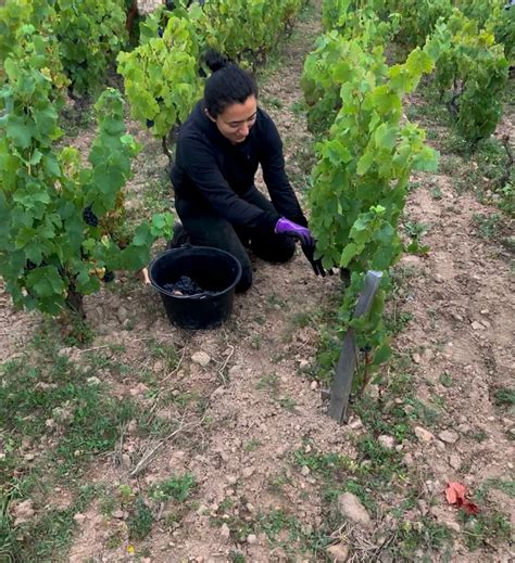 Syuzanna M On Linkedin Best Feeling Ever To Be Challenged And To